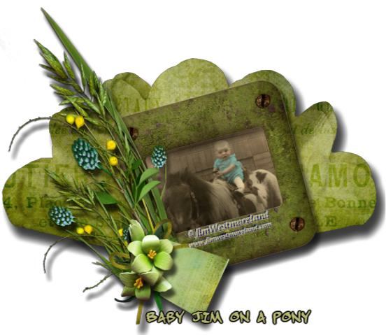 Biography | Jim Westmoreland